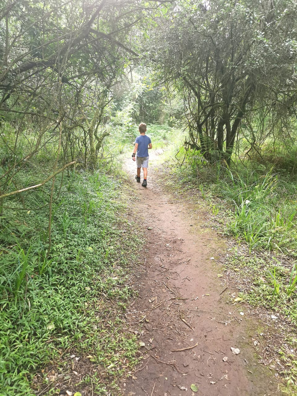 The Road Not Taken – Poem by Robert Frost – A Path Less Travelled